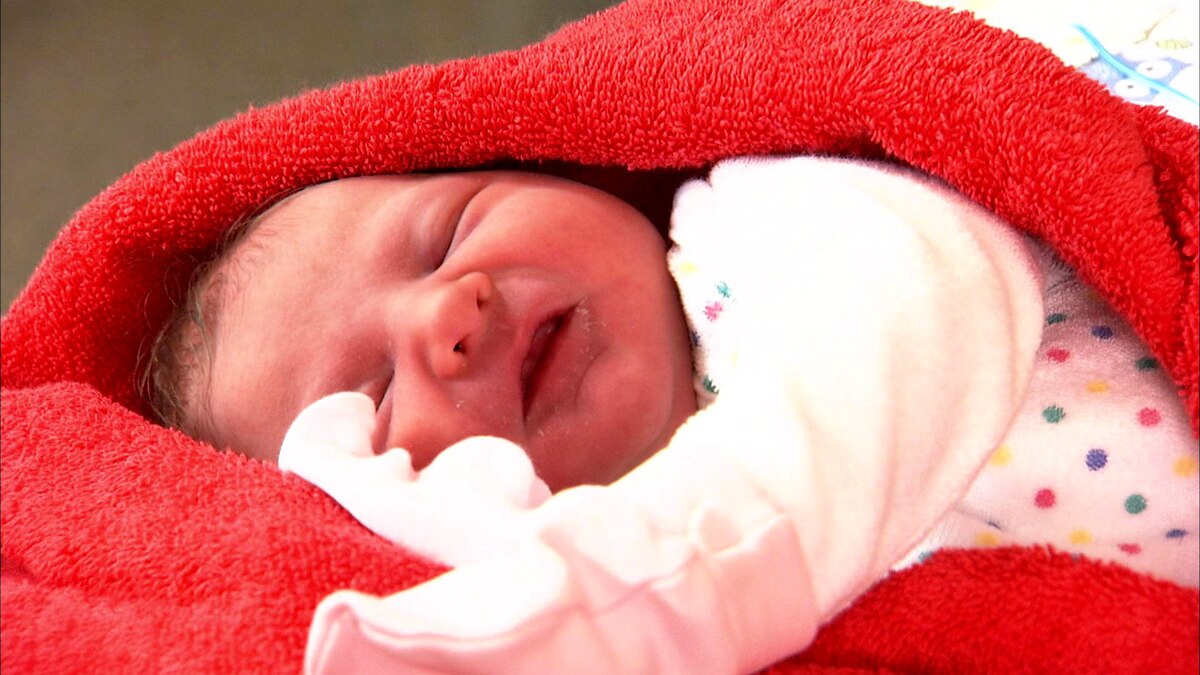 Zu früh geholt? (Video) - Die Babystation - Jeden Tag ein kleines ...