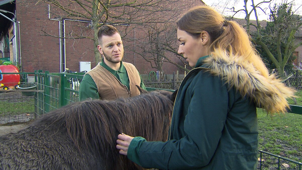 Treuetest mit dem Ex - RTLZWEI