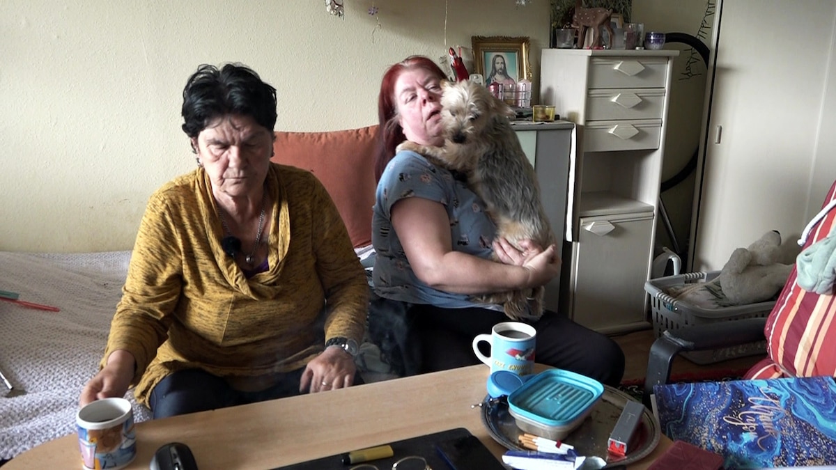 Die Große Aussprache - Hartz und herzlich - Tag für Tag - RTLZWEI