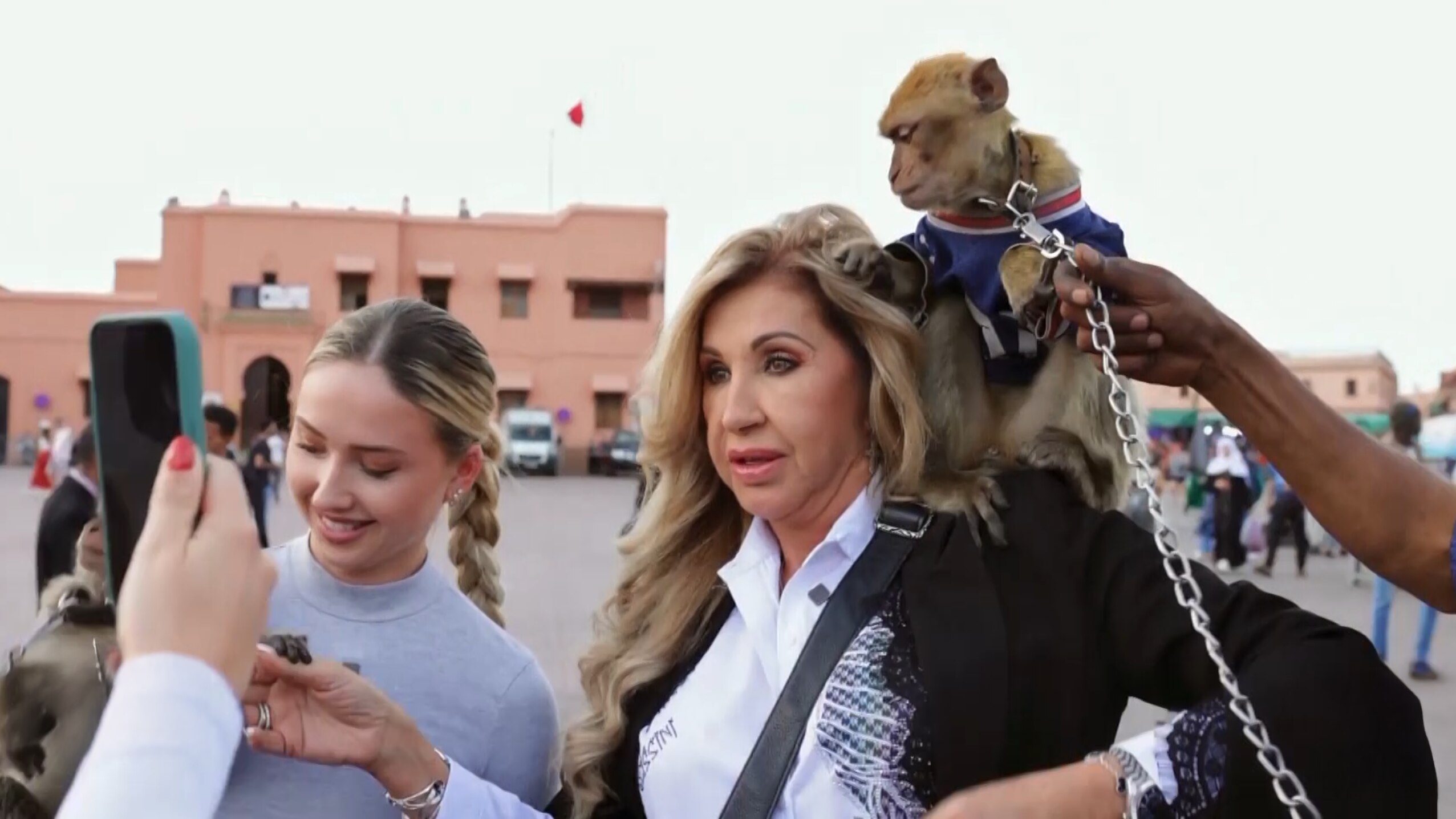 Animalisches Marrakesch: zwischen Affen und Schlangen?! (Video) - Die ...