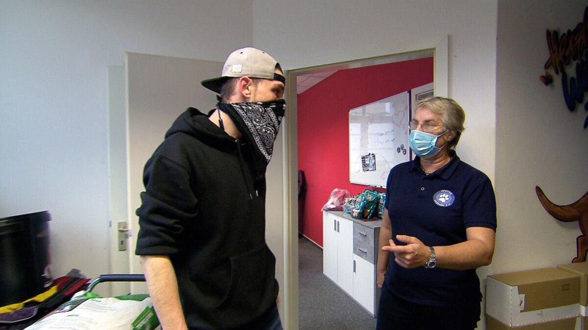 Steiniger Weg - Hartz Rot Gold - RTLZWEI