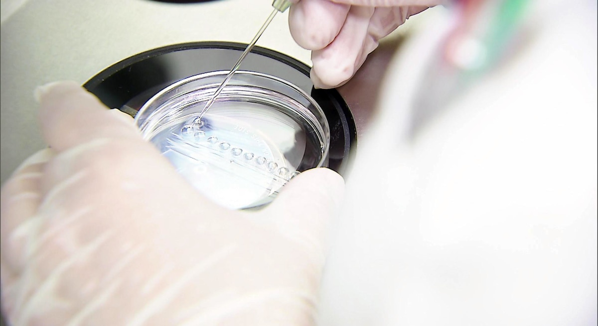 Was ist PID? (Video) - Wunschkinder - Der Traum vom Babyglück - RTLZWEI