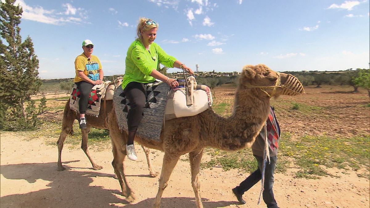 Heißer Ritt (Video) - Die Wollnys - Eine schrecklich große Familie ...