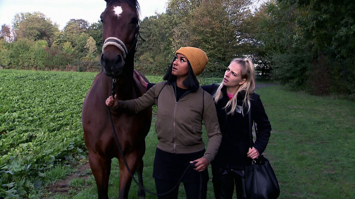 Alexa und Shayenne brauchen einen Schlafplatz (Video) - Krass Schule ...
